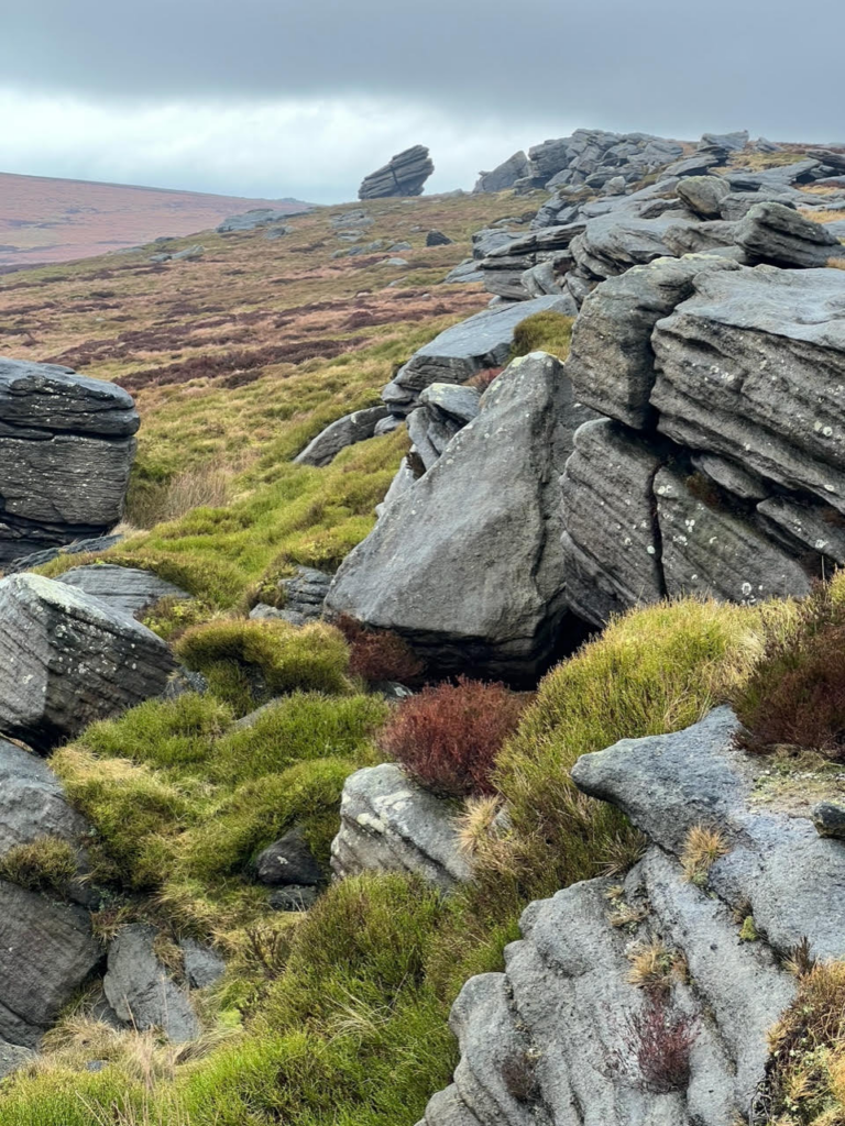 Campaigners call for halt to Walshaw Moor consultation - CPRE West ...